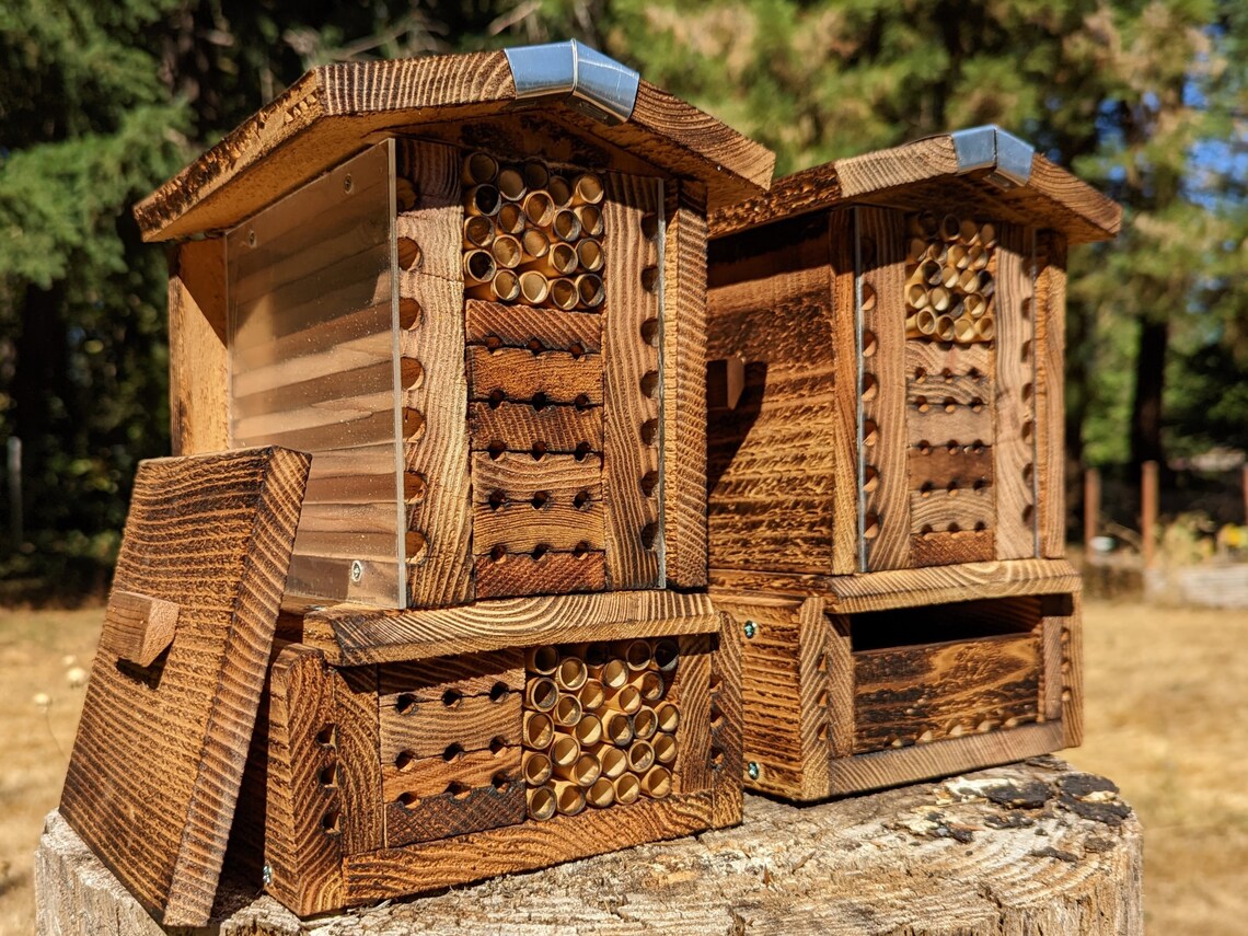 Mason Bee House Mason Bee House - Etsy