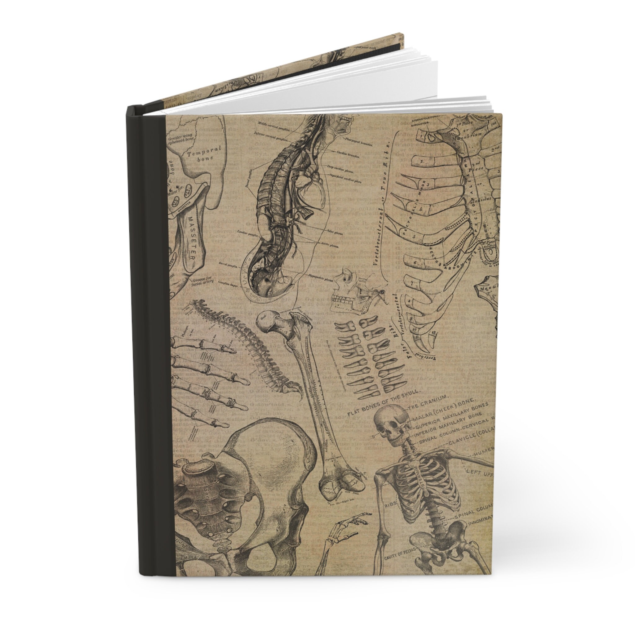 Anatomy Notebook Medical Student Gift. Vintage Anatomy , Bones Notebook ...
