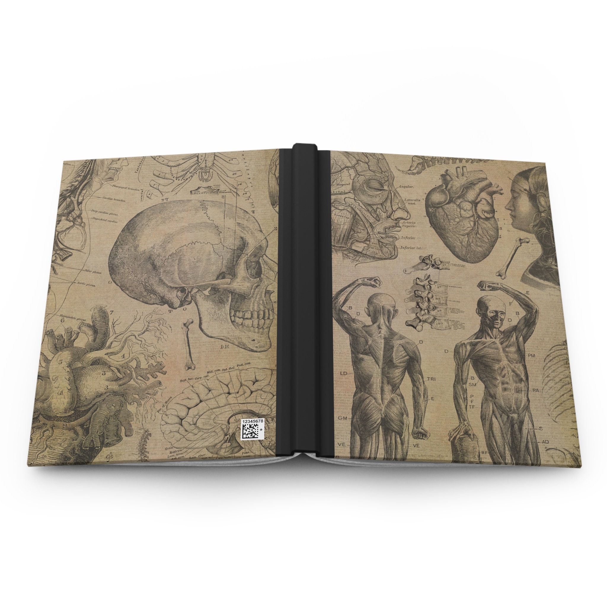 Anatomy Notebook Medical Student Gift. Human Anatomy Cover Design. - Etsy