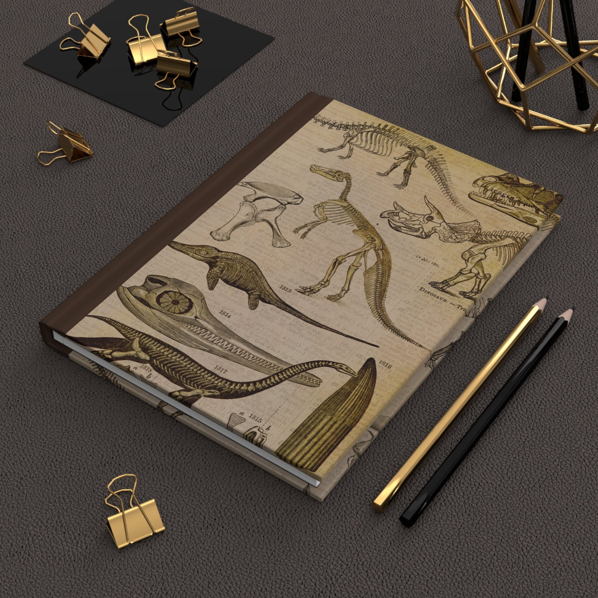 Dinosaur Hardcover Notebook Journal. Vintage Paleontology Dinosaur ...