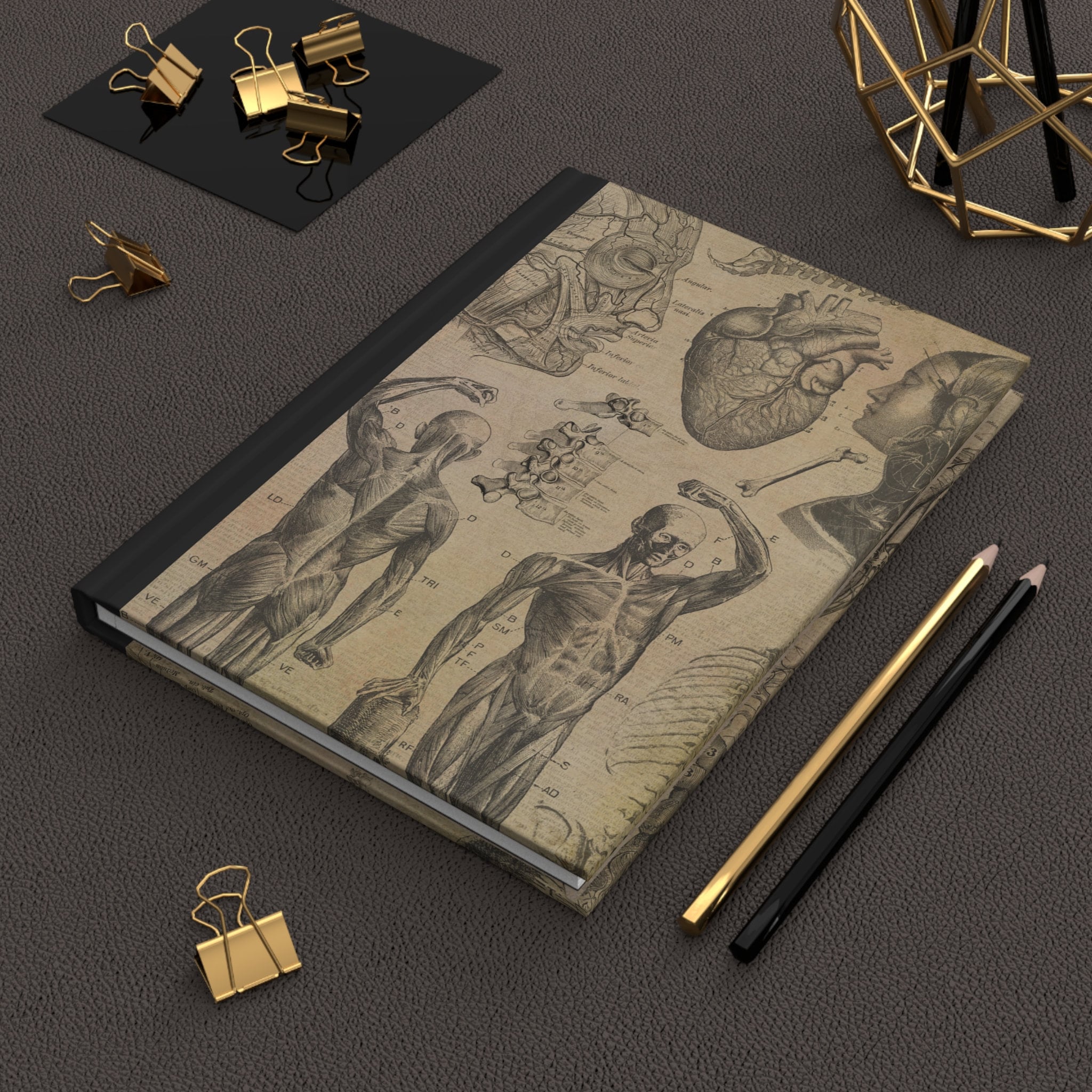 Anatomy Notebook Medical Student Gift. Human Anatomy Cover Design. - Etsy