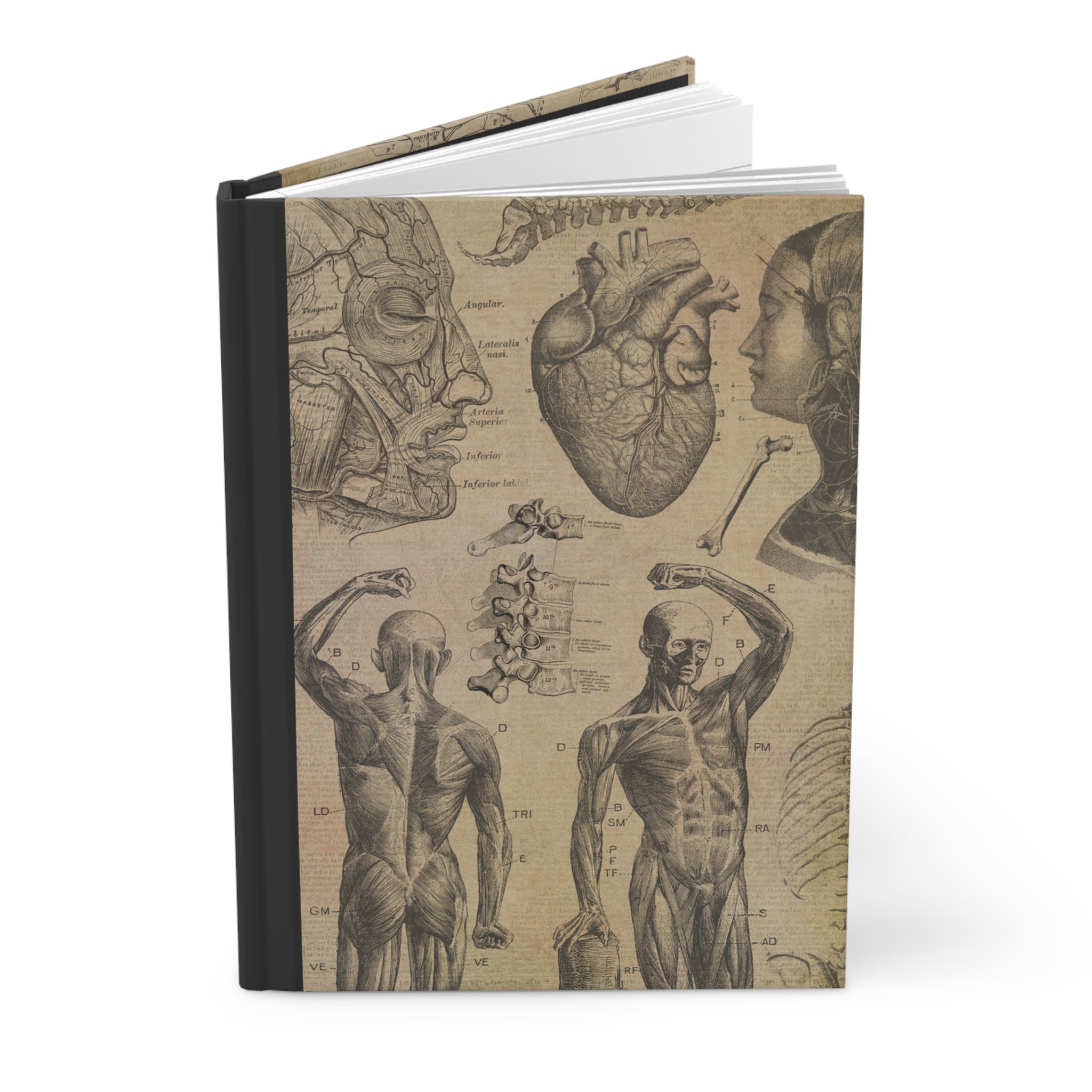 Anatomy Notebook Medical Student Gift. Human Anatomy Cover Design. - Etsy