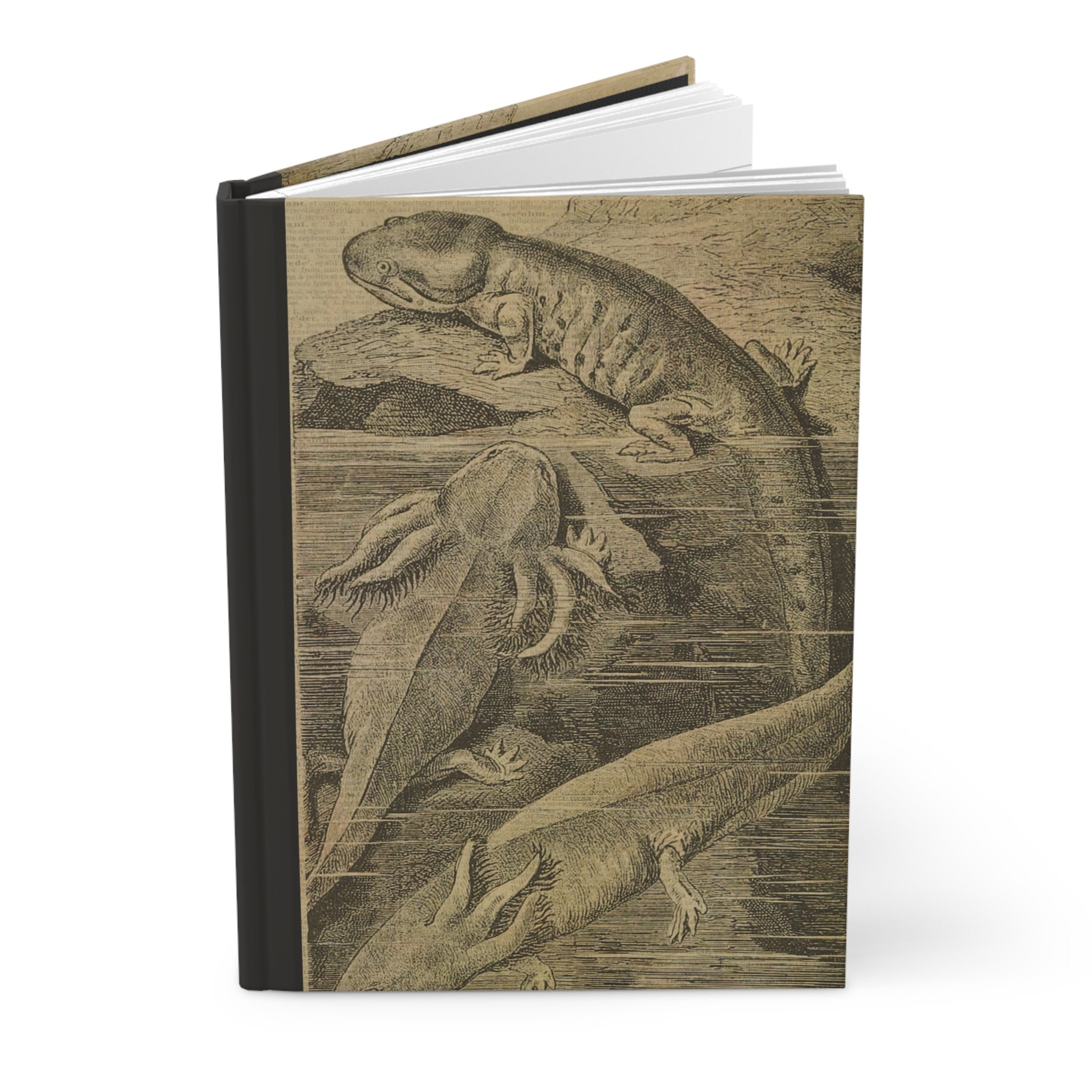 Prehistoric Amphibian Notebook. Reptiles and Paleontology Themed ...