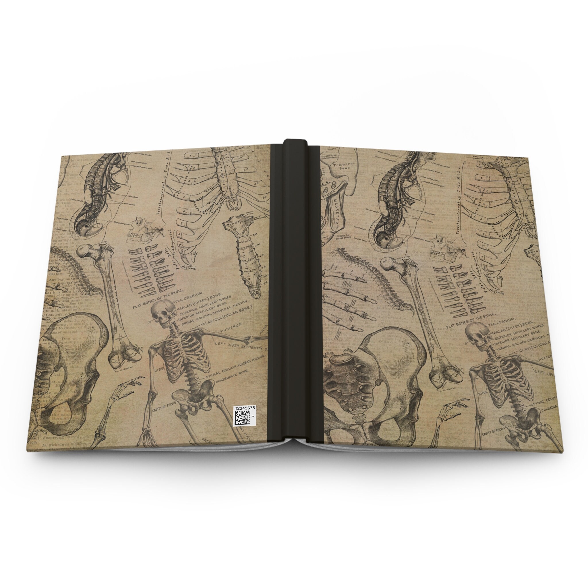 Anatomy Notebook Medical Student Gift. Vintage Anatomy , Bones Notebook ...