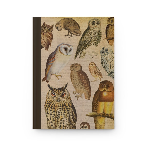 Owl Theme - Etsy