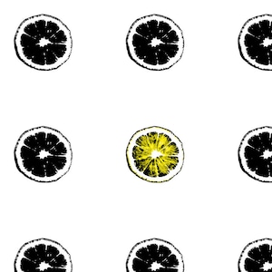 The Roses | Lemon | Illustration | Print | A5 A4 A3 A2 A1 | Unframed ...