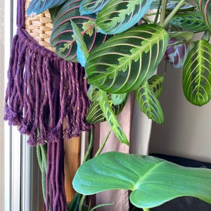 Plant Hanger | Long 110 Cm Plant Hanger | Boho Home | Indoor Plants ...