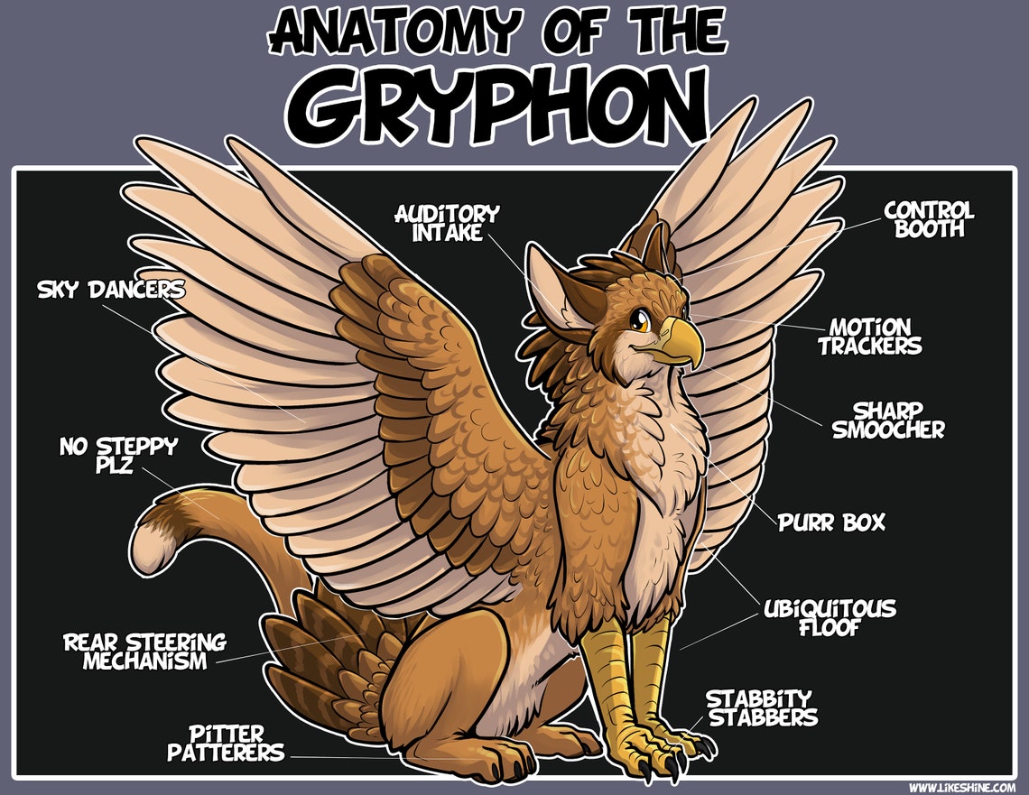 Anatomy of the Gryphon artwork print | Etsy