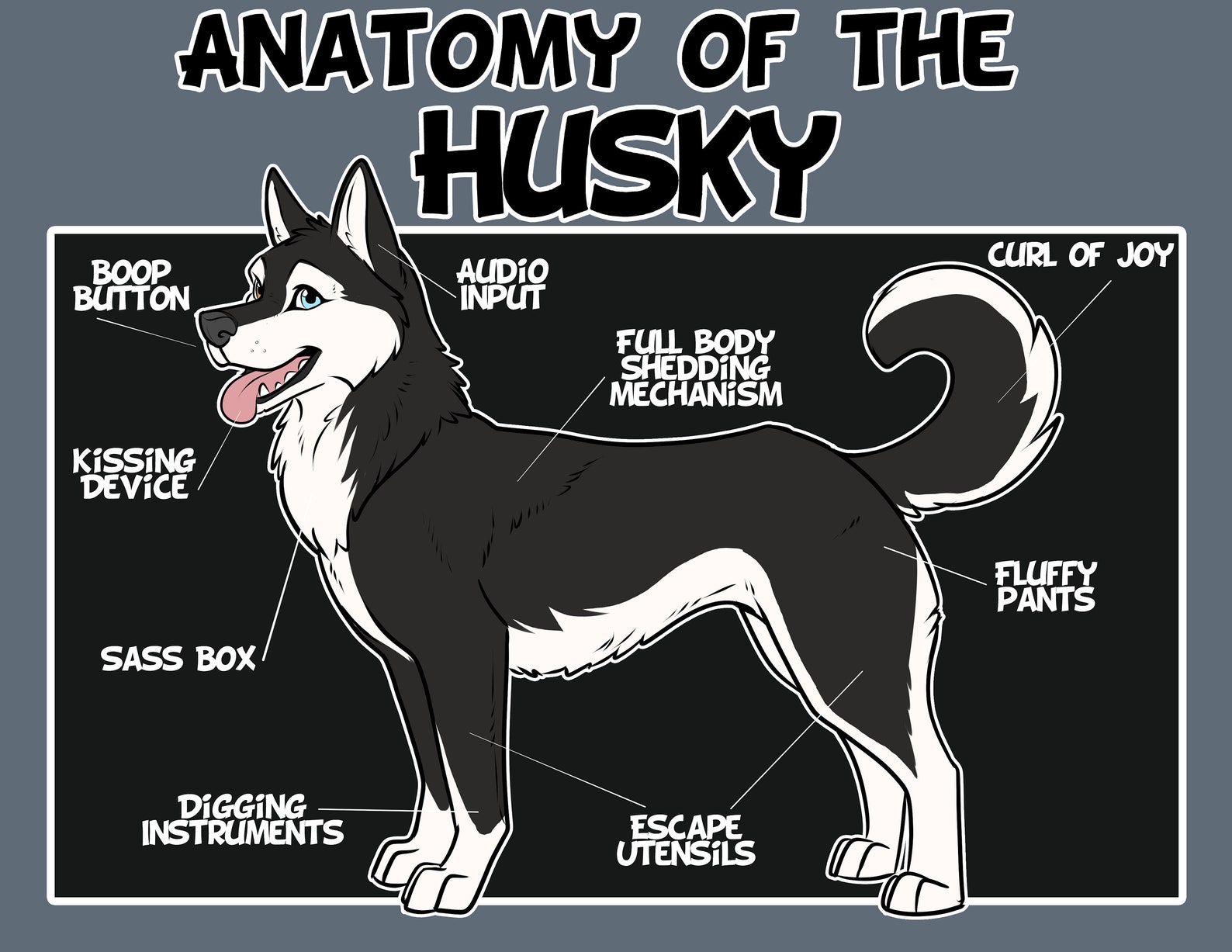 Anatomy of the Husky Artwork Print B & W | Etsy