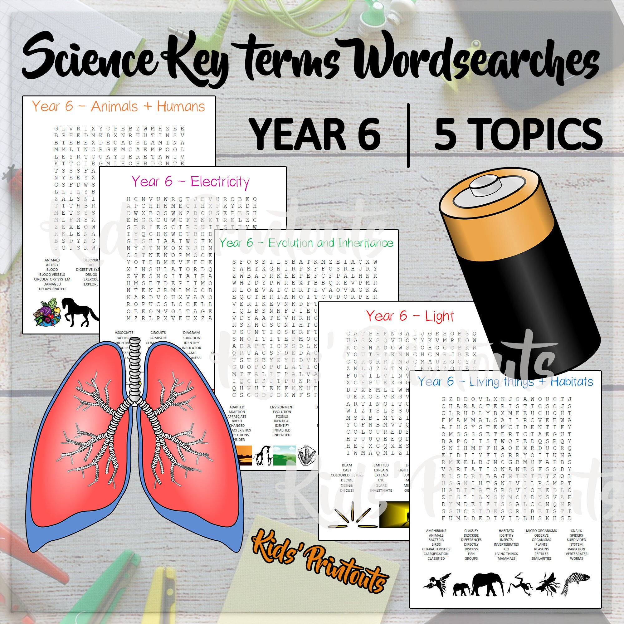 Year 6 Science Vocabulary Word Searches X 5 - Over 150 Terms - Activity ...