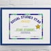 Editable School Certificates Superstar Awards Class Awards Social ...