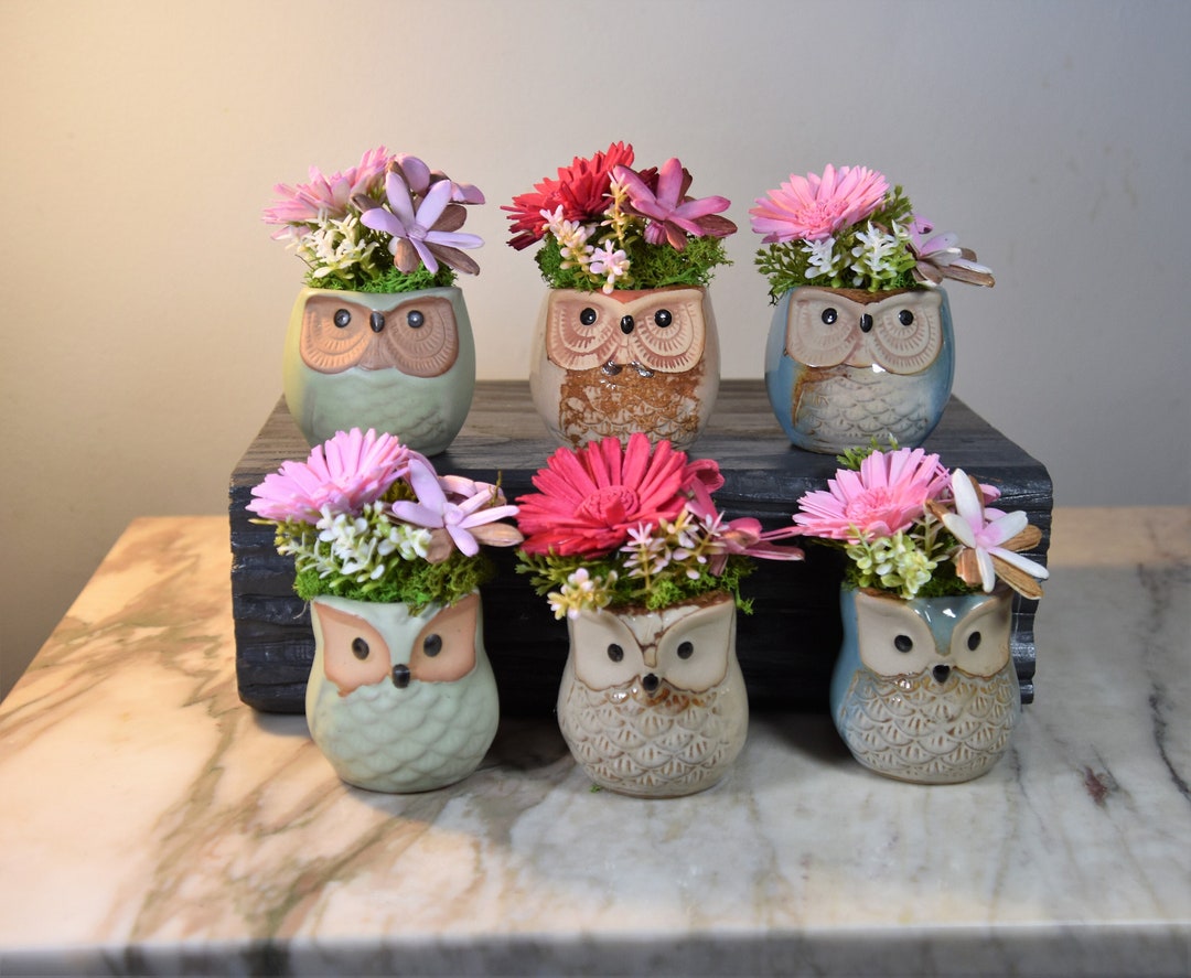Adorable Little Ceramic Owl Planters With Sola Wood Airbrushed Flowers ...