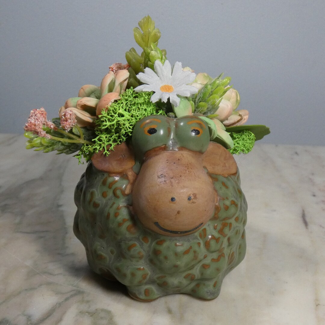Cute Ceramic Sheep Planter Filled With Hand Painted Sola Wood ...