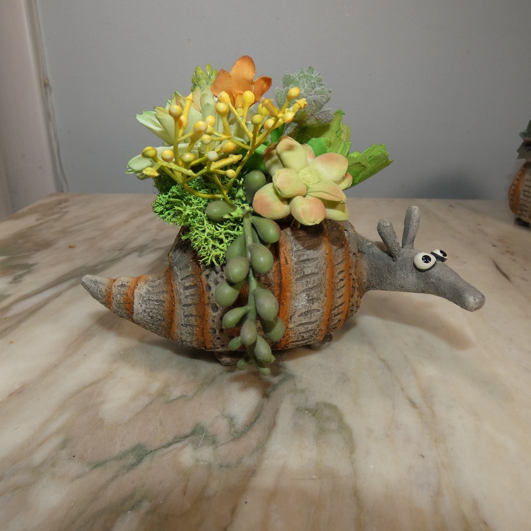 Adorable Armadillo Planter With Hand Painted Sola Wood Flowers and ...