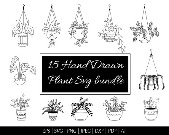Hand Drawn Plant Svg Plants SVG Bundle Hanging Plant Svg - Etsy