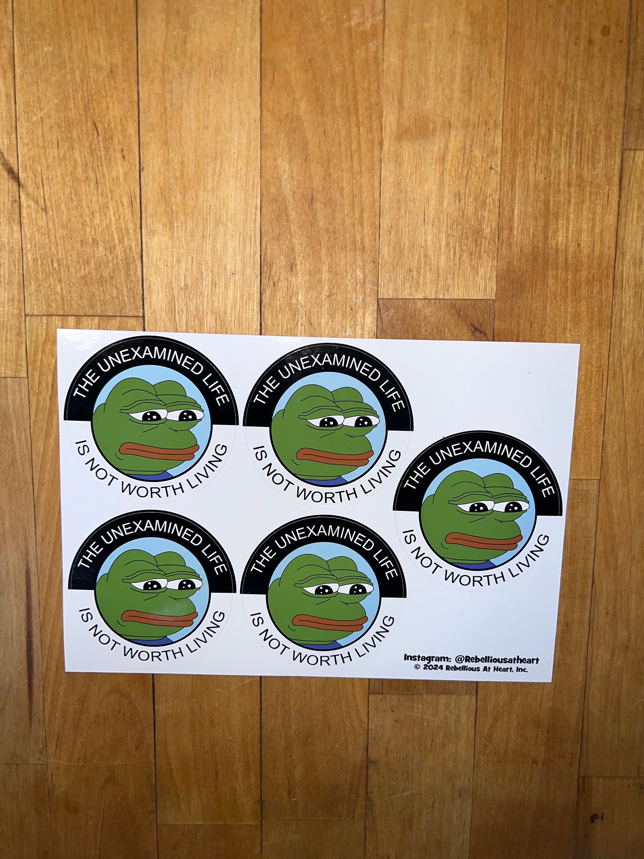 6 Stickers Sad Pepe Meme - Etsy