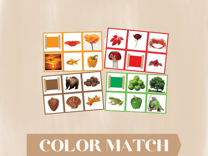 Montessori Card Set Color Matching Cards Digital Printable | Etsy