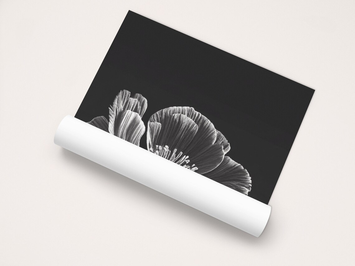 POPPY POWER Black and White Poppy as Digital Download, Printable ...