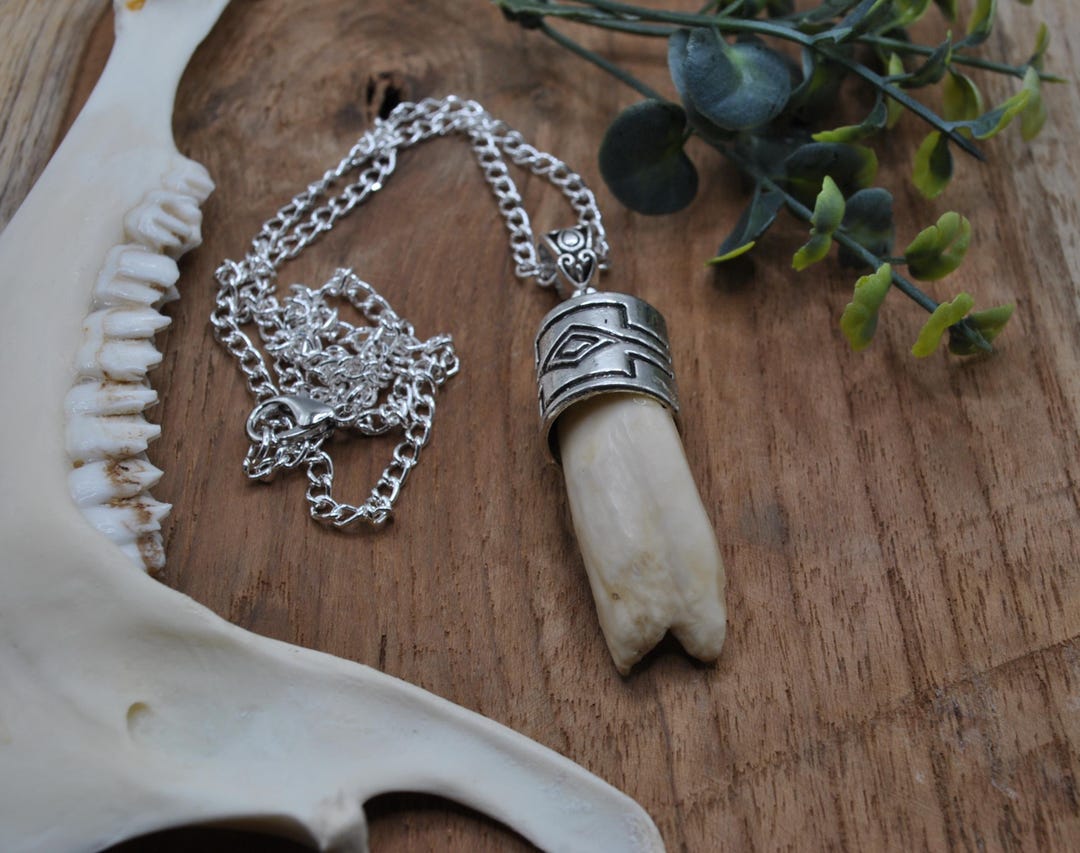 Necklace With Tooth, Wild Boar Molar, Men's Jewelry, Viking - Etsy