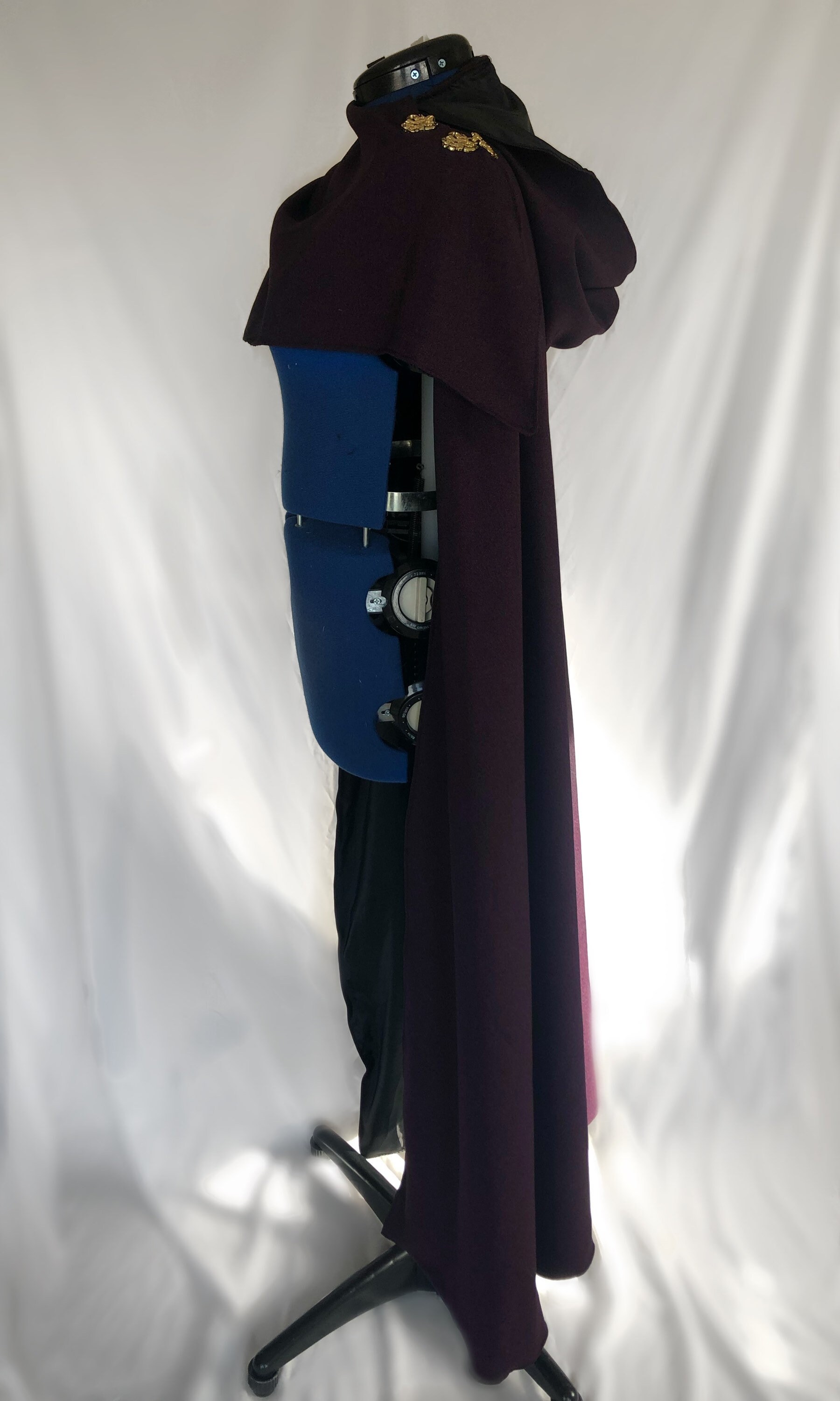 Aelin Galathynius Assassin Inspired Cloak - Etsy