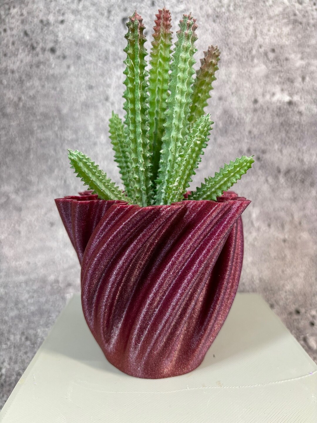 Unique Planter-small Flower Pot for Plants of All Kinds - 4" Diameter ...