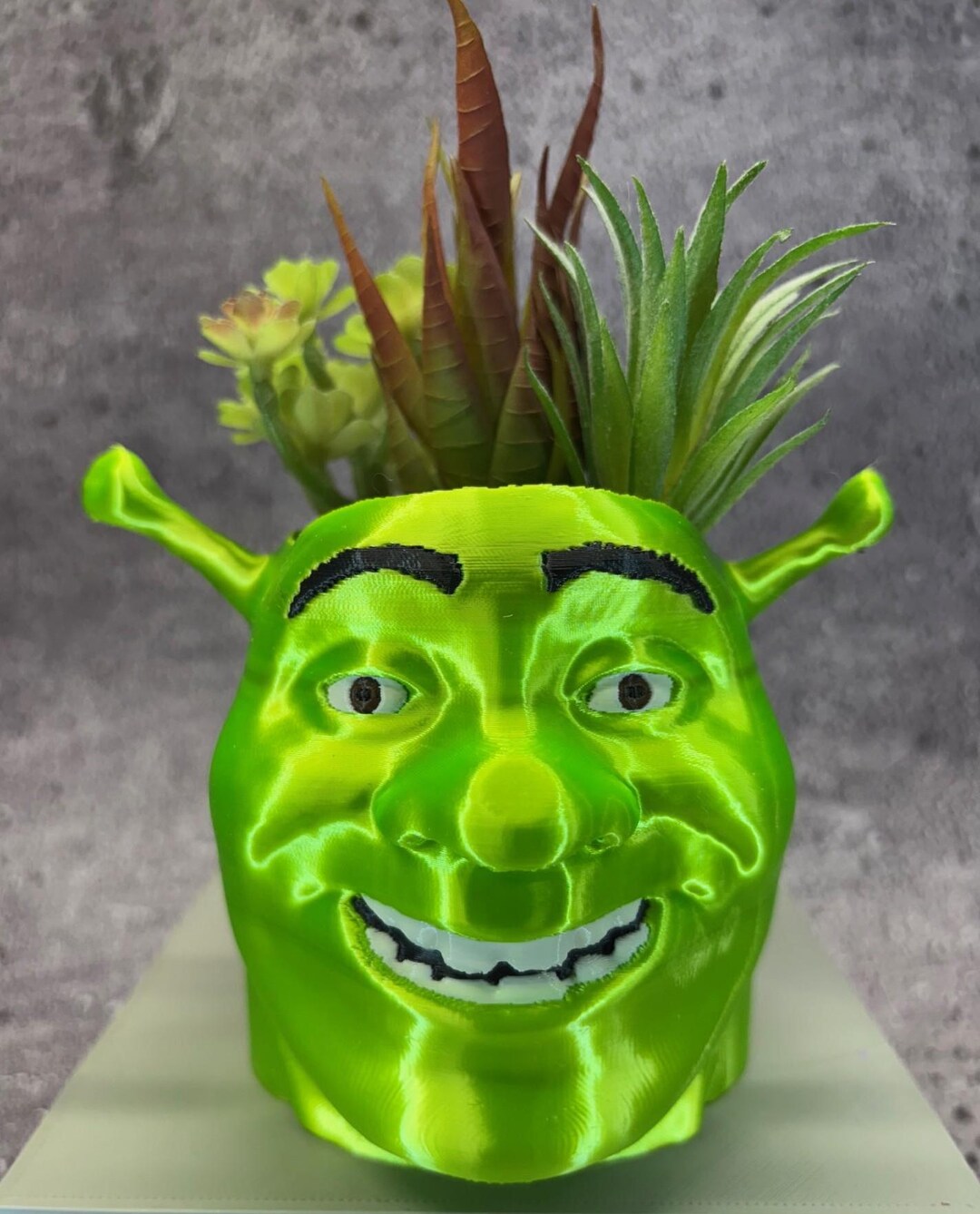 Small Shrek Planter for Succulents, Cactus or Any Plant - 5.25" Wide, 4 ...