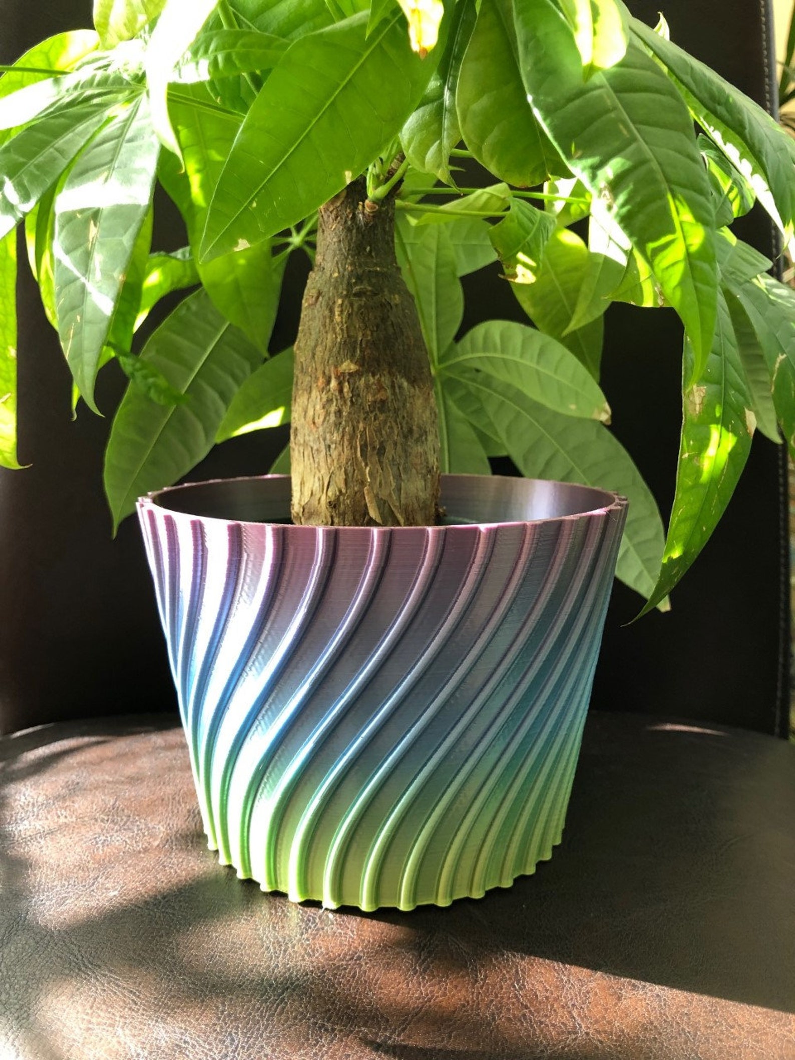 Medium Flower Pot for Plants of All Kinds 5.875 - Etsy