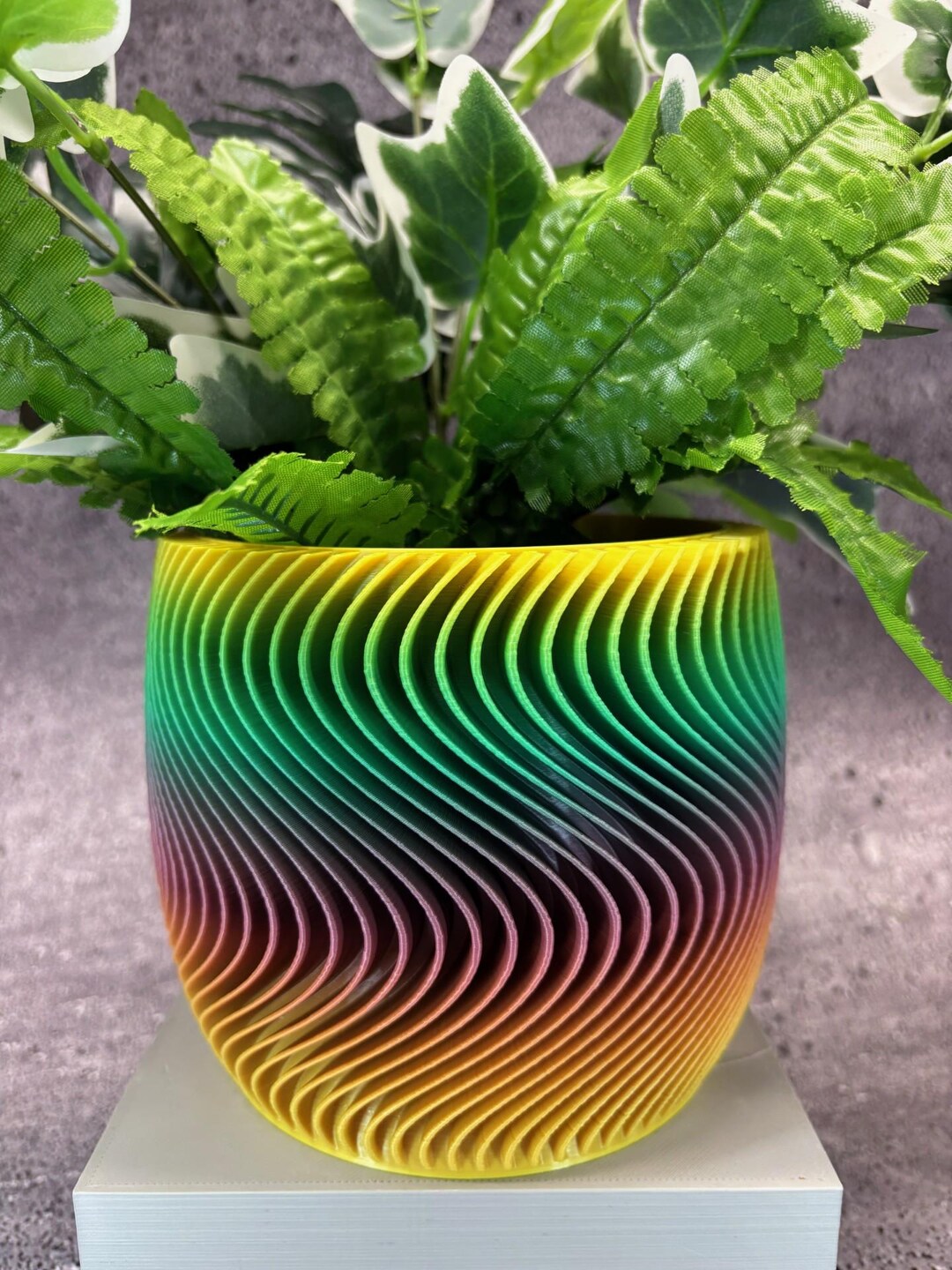 Unique Planter-medium Flowerpot for Plants of All Kinds (multi Color ...
