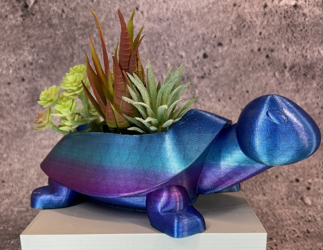 Unique Planter-medium Turtle Planter for Succulents, Cactus (blue and ...