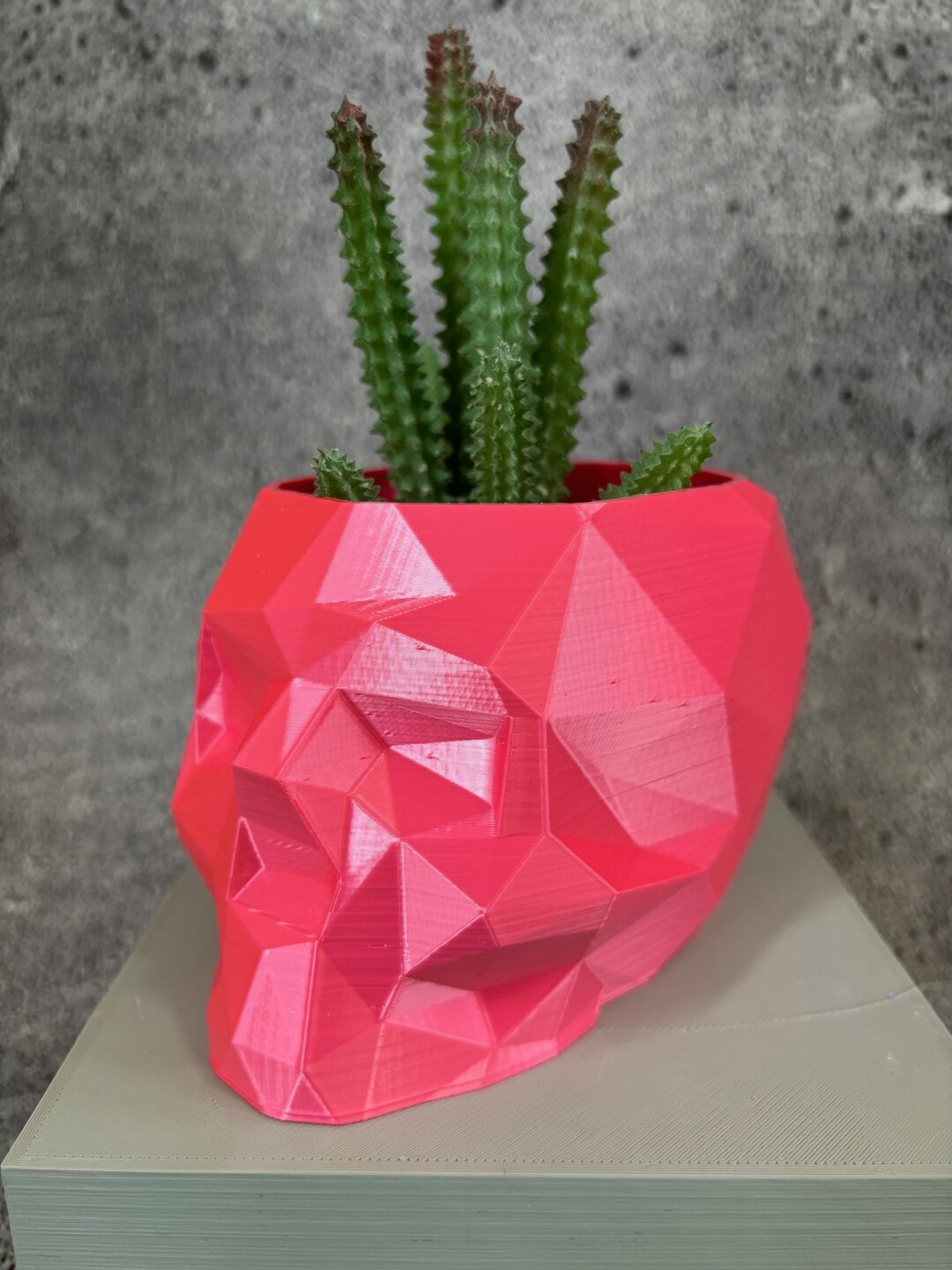 Medium Skull Pot V1 pink Silk Color for Succulents, Cactus or Any Plant ...