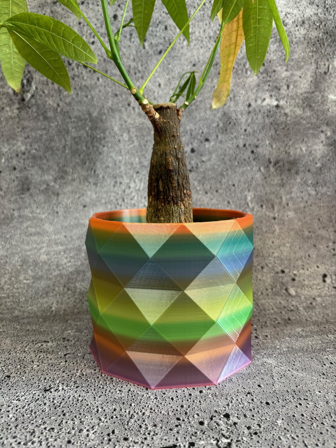 Medium Geo Flower Pot for Plants of All Kinds 5.5 Diameter by 4.75 Tall ...