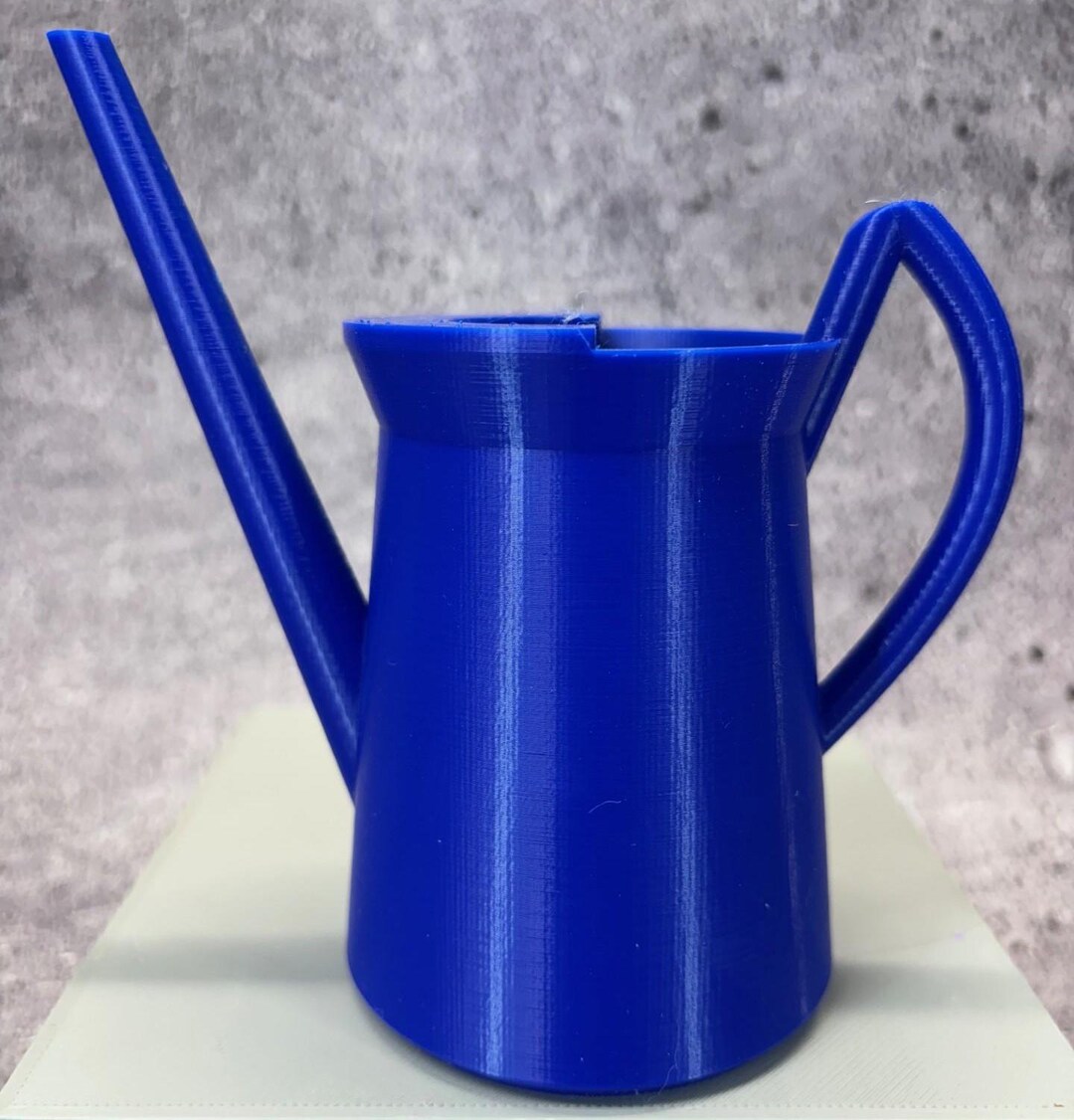 Mini Watering Can With Spill Blocker for Succulents, Cactus, Herbs or ...