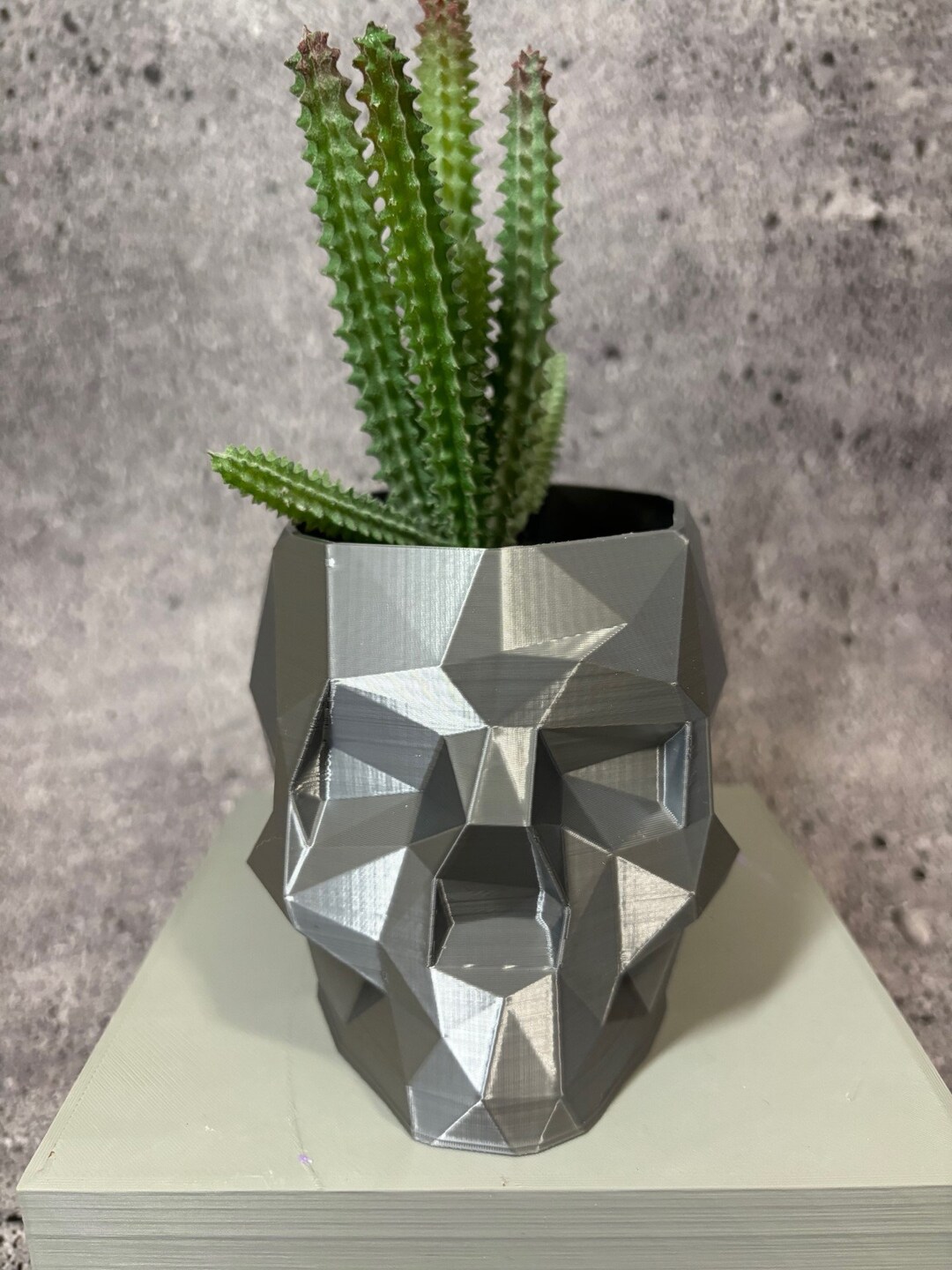Medium Skull Pot V1 (silver Color) for Succulents, Cactus or Any Plant ...