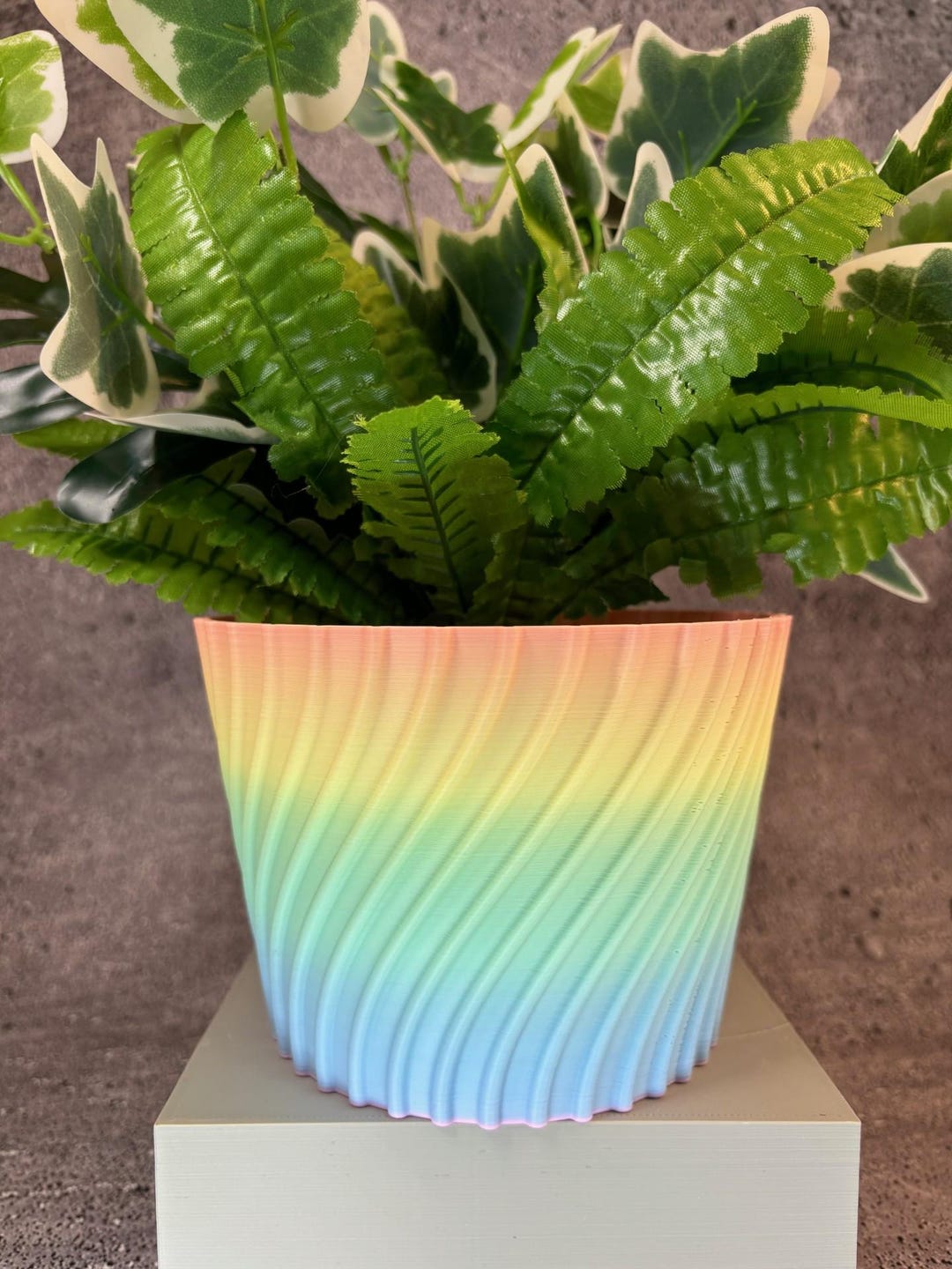 Unique Planter-medium Flowerpot for Plants of All Kinds (pastel Rainbow ...