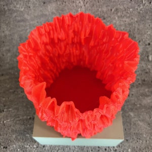 Medium Flowerpot for Plants of All Kinds vibrant Coral Color 6 Diameter ...