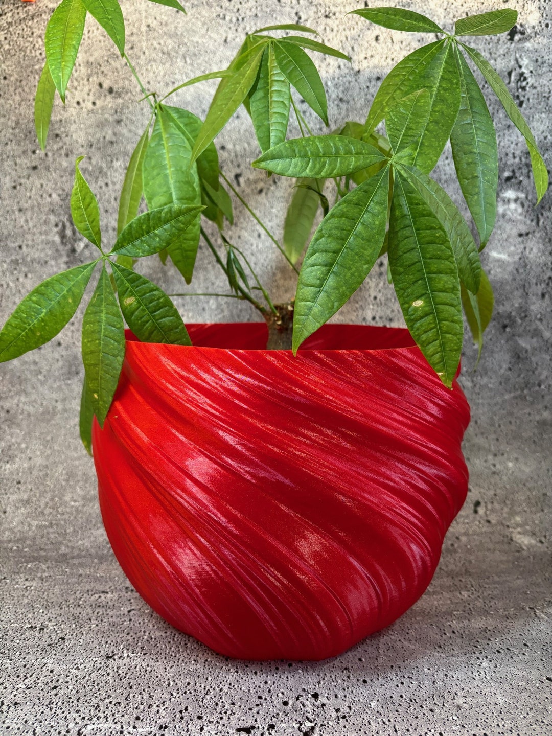 Extra Large Twisted Flower Pot for Plants of All Kinds (ruby Slipper ...