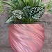 Large Twisted Flowerpot for Plants of All Kinds gradient Orange Color 8 ...