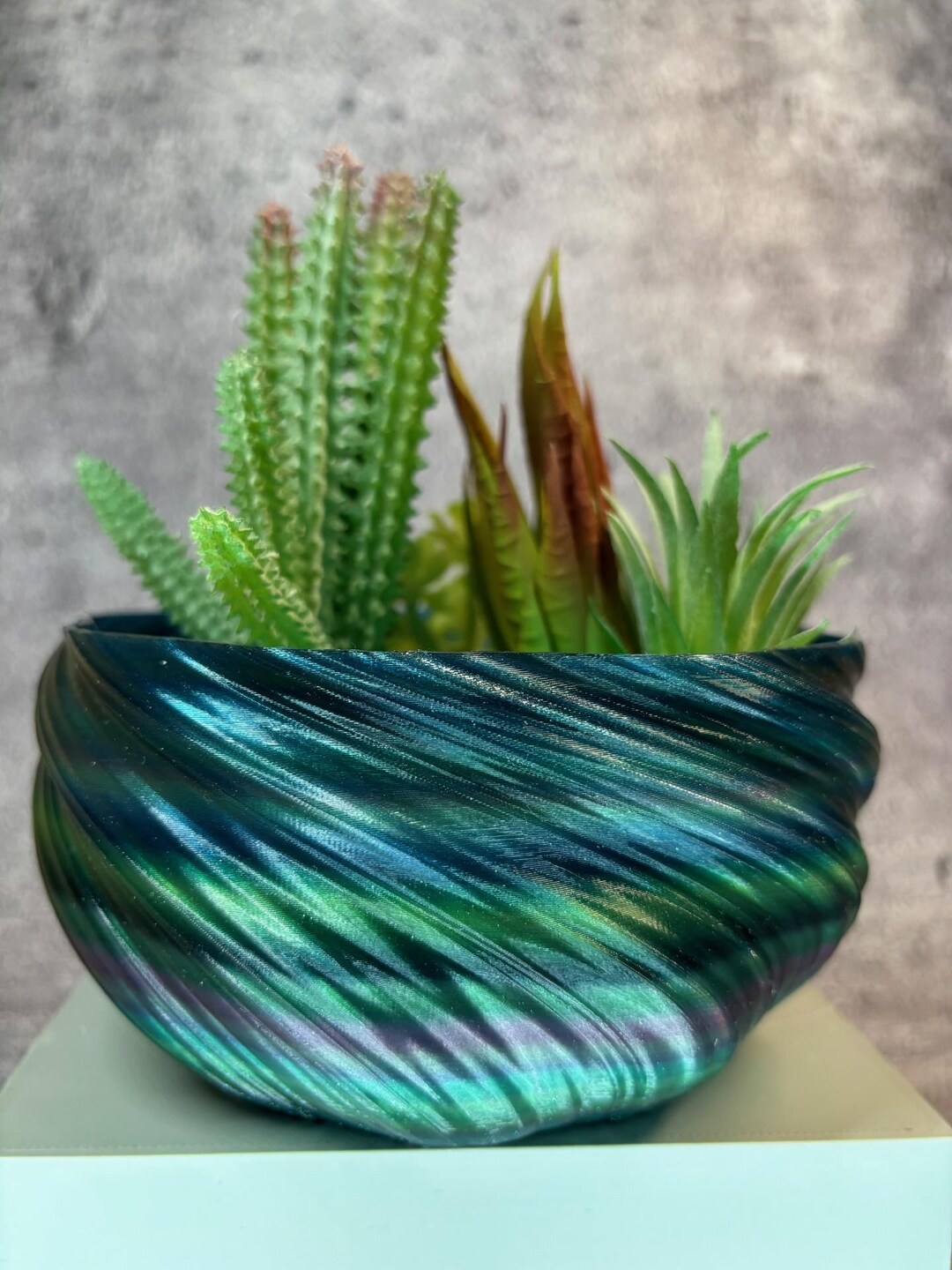 Small Shallow Twisted Planter for Succulents or Cati (assorted Forest ...