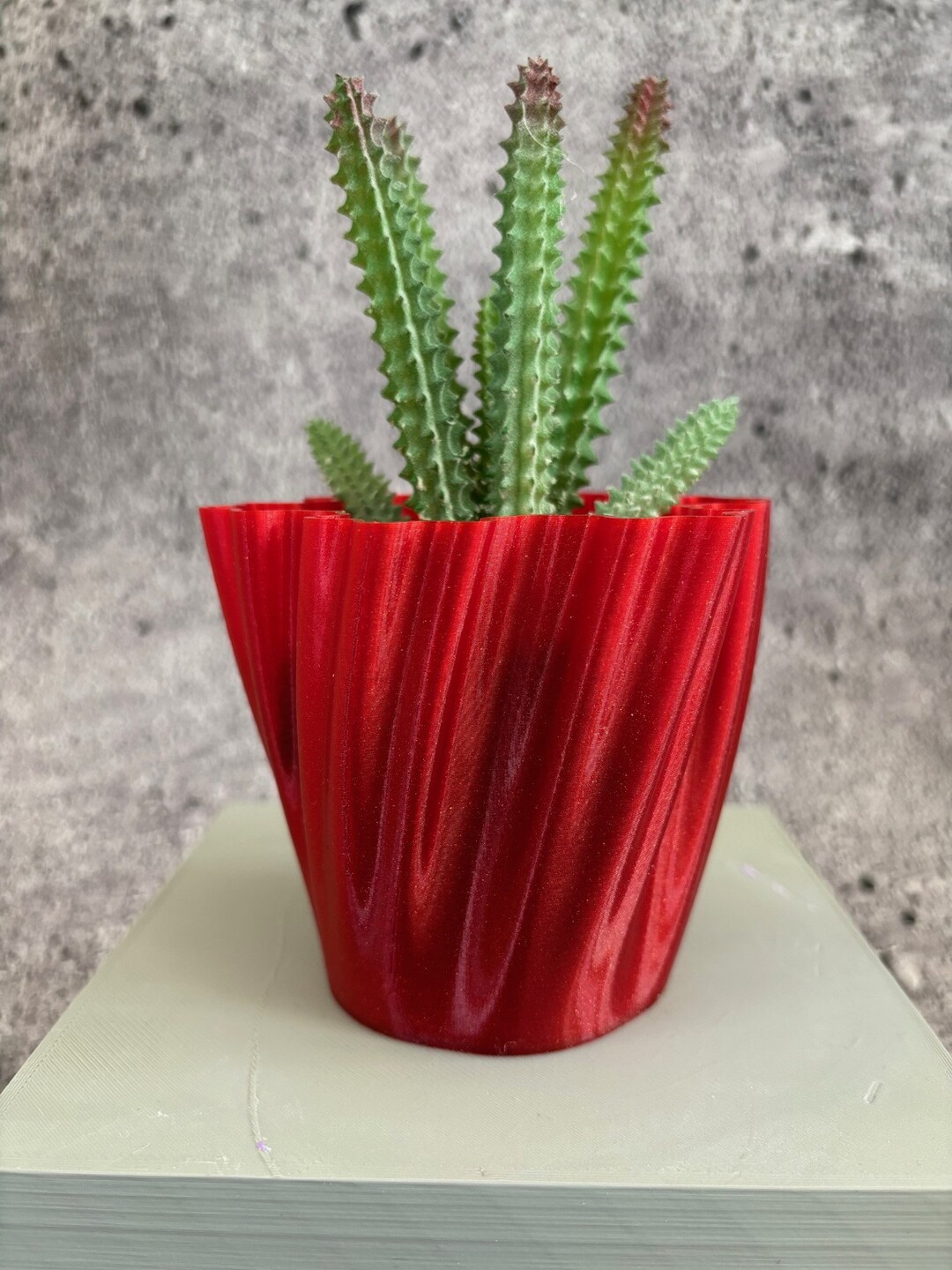 Unique Planter-small Flowerpot for Plants of All Kinds (ruby Slipper ...