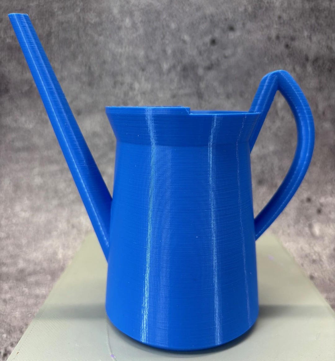 Mini Watering Can With Spill Blocker for Succulents, Cactus, Herbs or ...