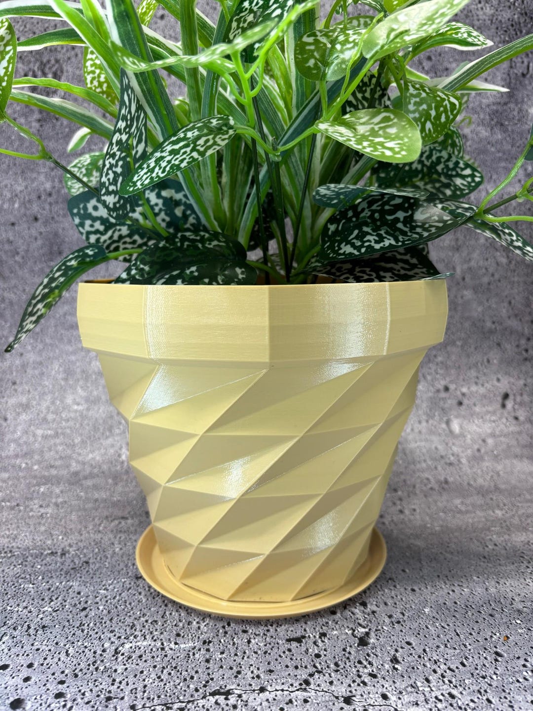 Large Flowerpot With Saucer for Plants of All Kinds (desert Tan Color ...