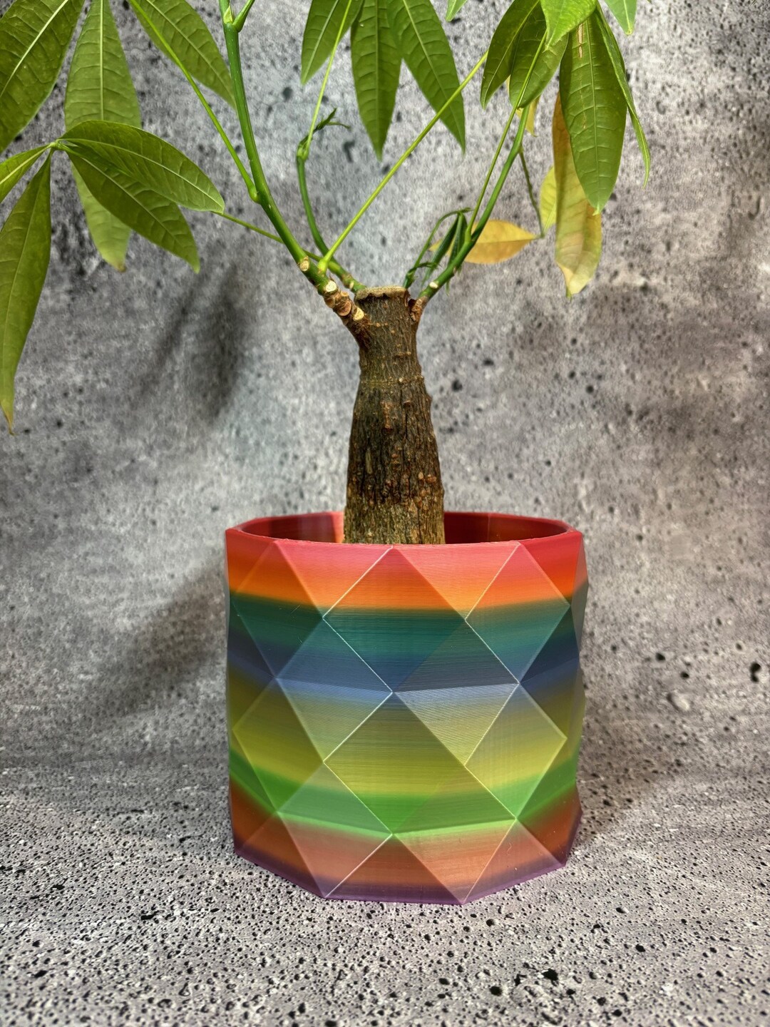 Medium Geo Flower Pot for Plants of All Kinds 5.5 Diameter by 4.75 Tall ...