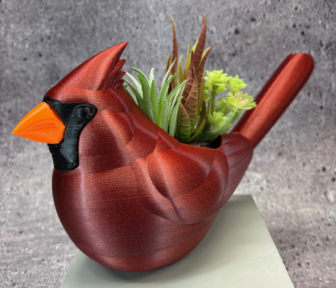 Extra Large Cardinal Planter for Succulents, Cactus or Any Plant (deep ...