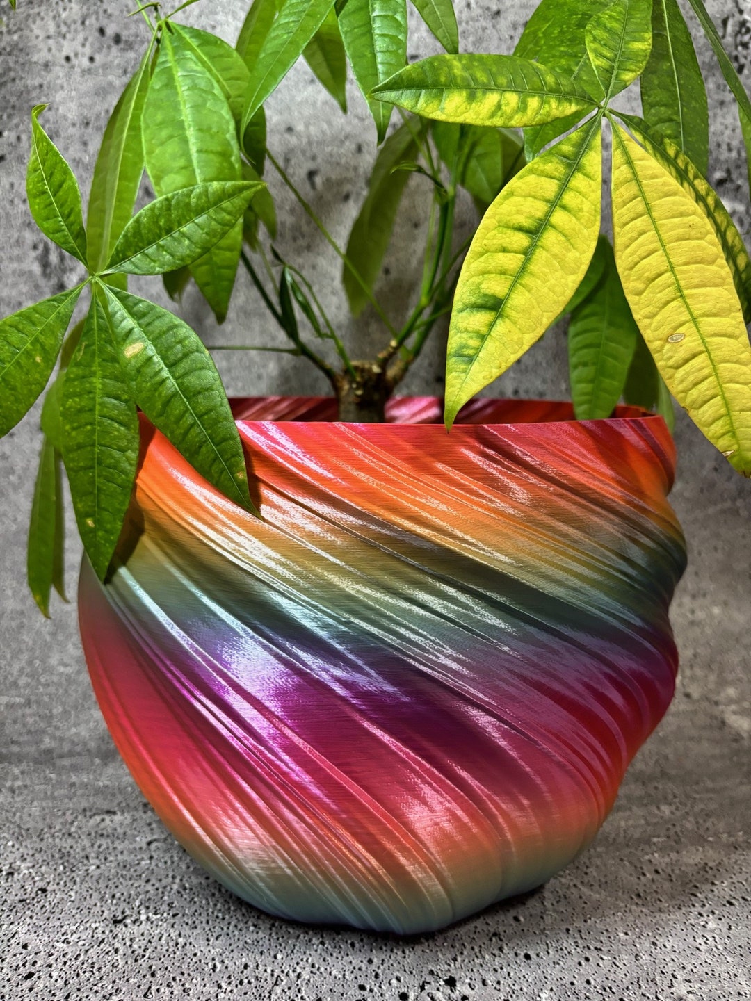 Extra Large Twisted Flower Pot for Plants of All Kinds 10 Diameter by 7 ...