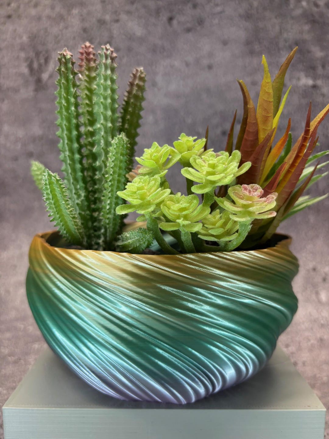 Small Shallow Twisted Planter for Succulents or Cati - 6" Diameter by 3 ...