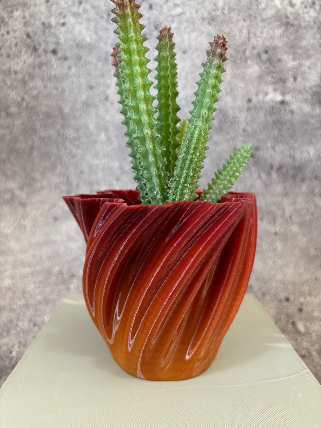 Unique Planter-small Flower Pot for Plants of All Kinds - 4" Diameter ...