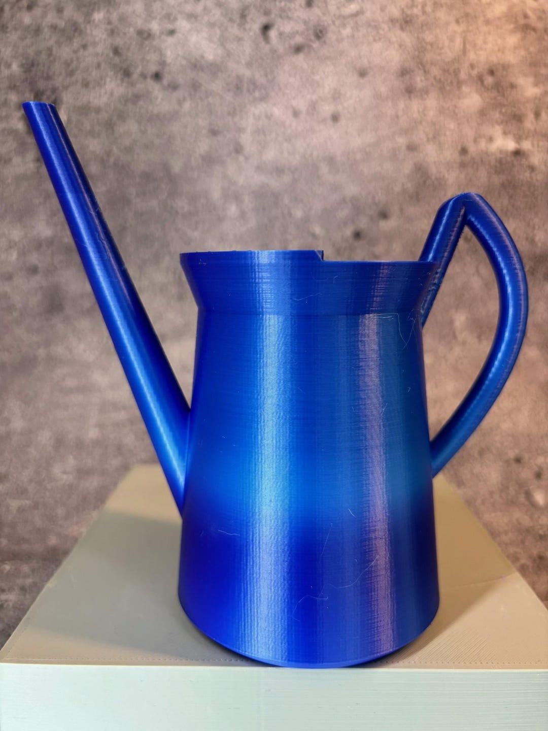 Mini Watering Can With Spill Blocker for Succulents, Cactus, Herbs or ...