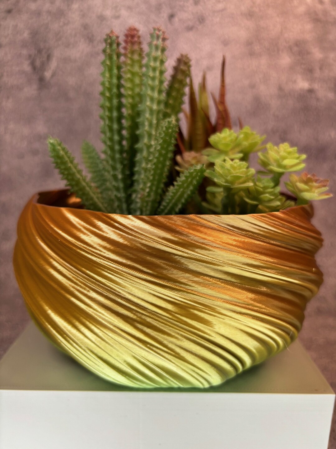 Small Shallow Twisted Planter for Succulents or Cati (shade-shifting ...