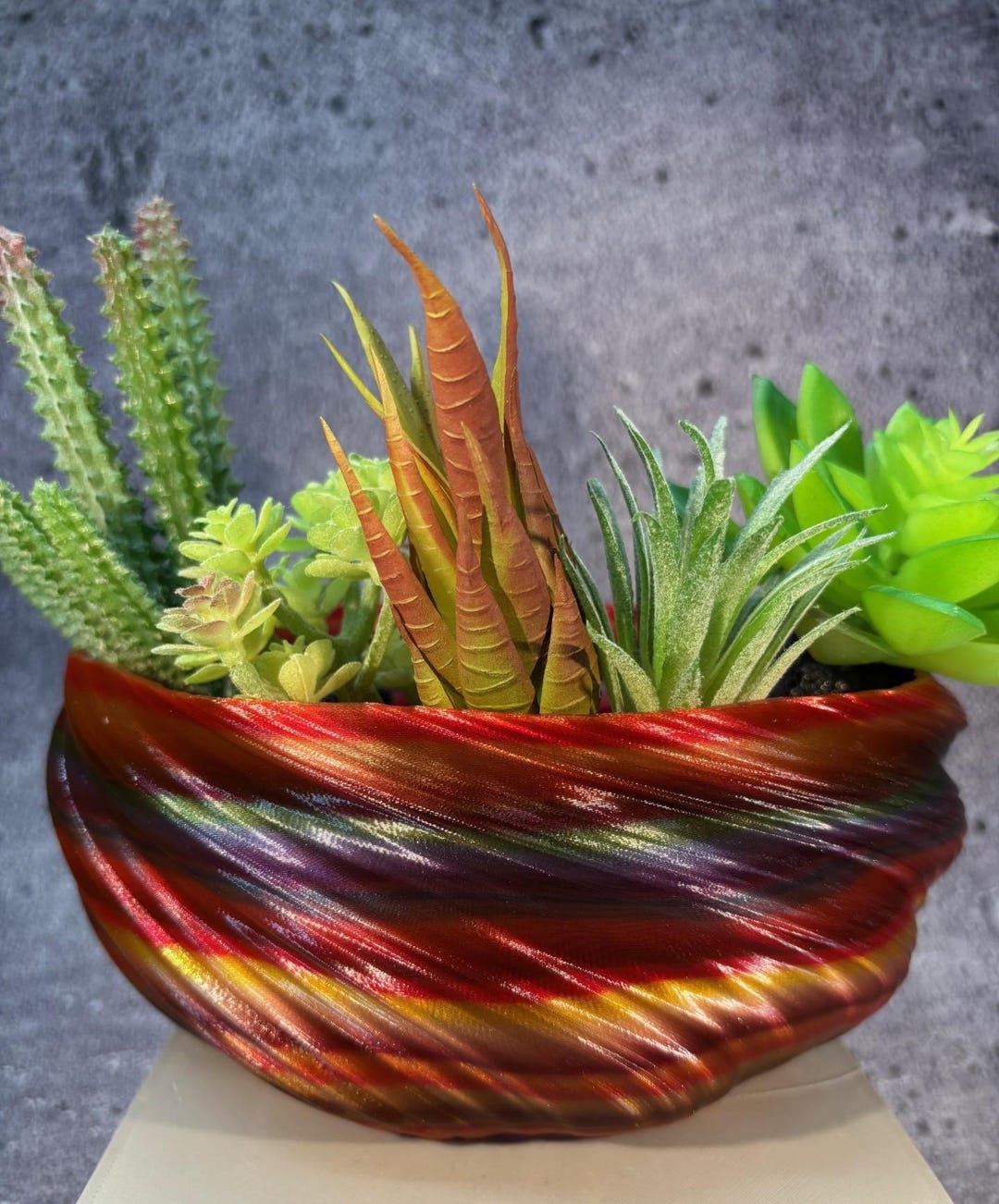 Medium Shallow Twisted Planter for Succulents or Cati (red Multi Color ...