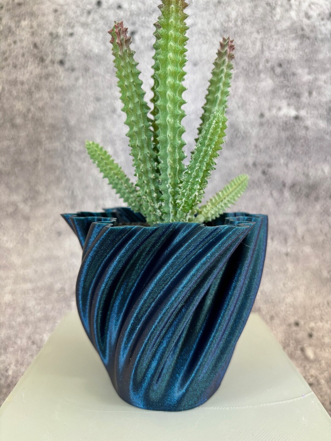 Small Flower Pot for Plants of All Kinds (shade-shifting Peacock Color ...